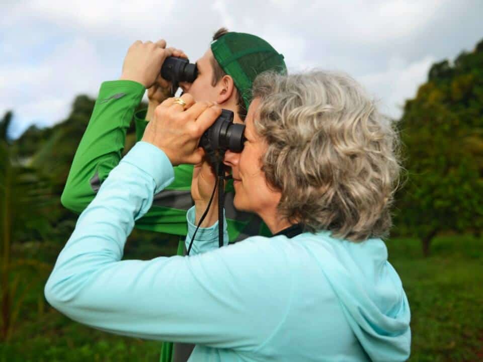 Belize Birding Tour | Belize Bird Watching | Hamanasi Adventure Resort