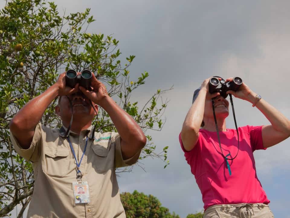 Belize Birding Tour | Belize Bird Watching | Hamanasi Adventure Resort
