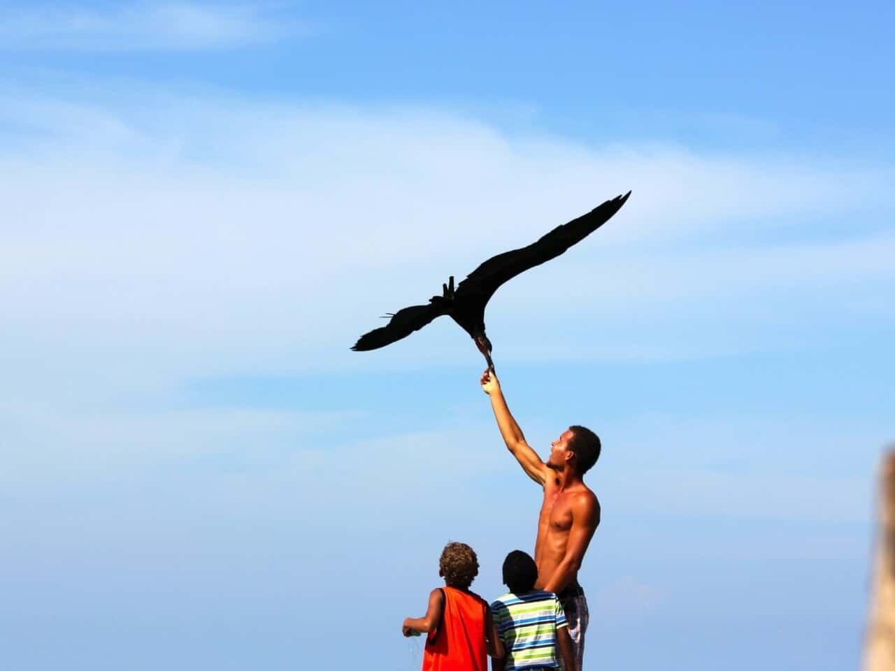 Belize Birding Tours | Belize Bird Watching Tours | Hamanasi Resort