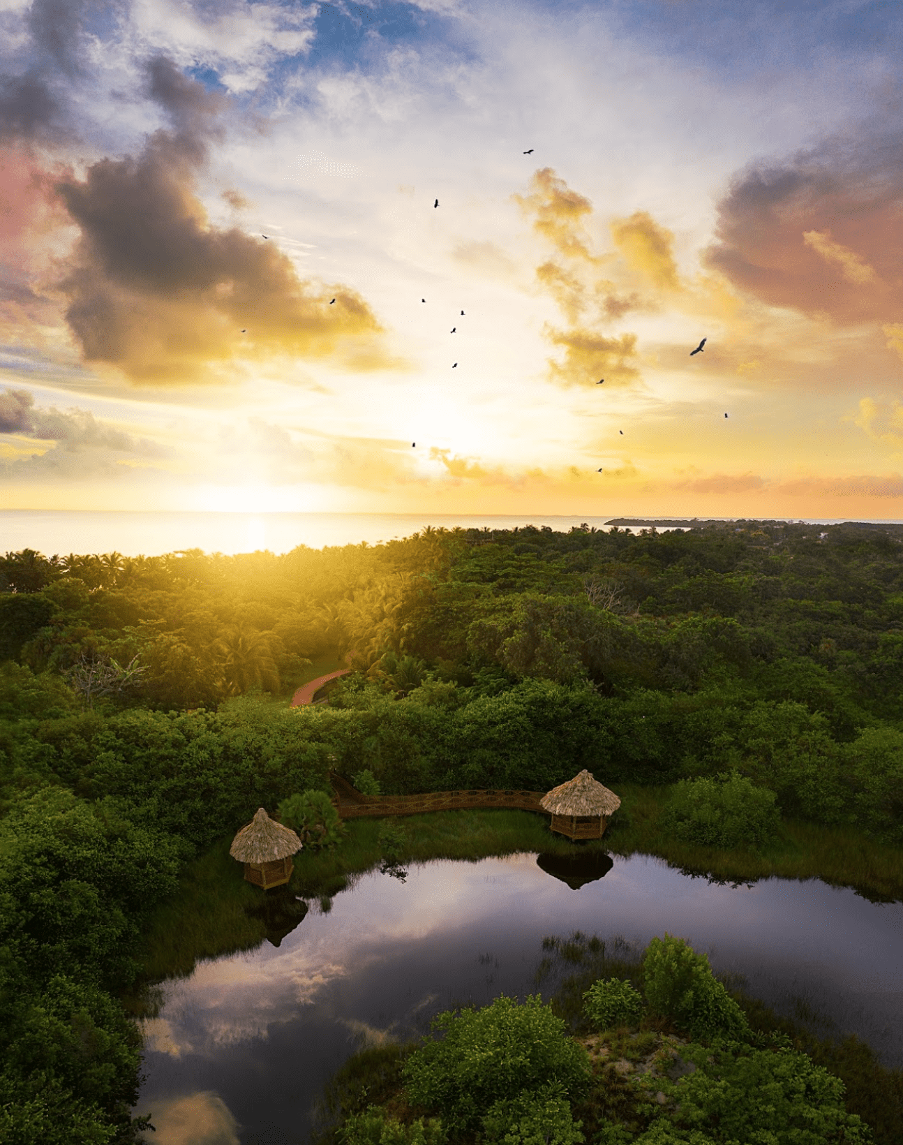 Hamanasi: 21 Years Then & Now | Hamanasi Adventure & Dive Resort, Belize