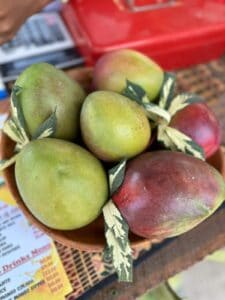 Why You CAN’T Miss Mango Season in Belize! | Hamanasi Adventure & Dive ...