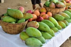 Why You CAN’T Miss Mango Season in Belize! | Hamanasi Adventure & Dive ...