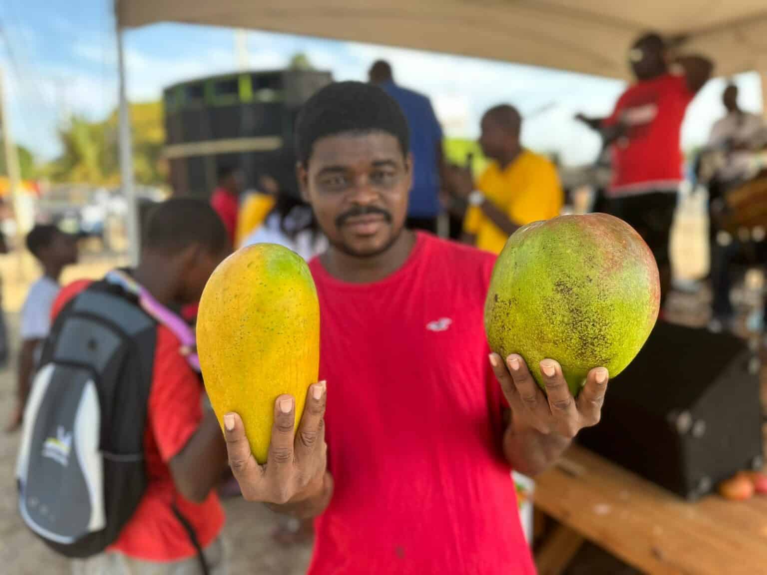 Why You CAN’T Miss Mango Season in Belize! | Hamanasi Adventure & Dive ...