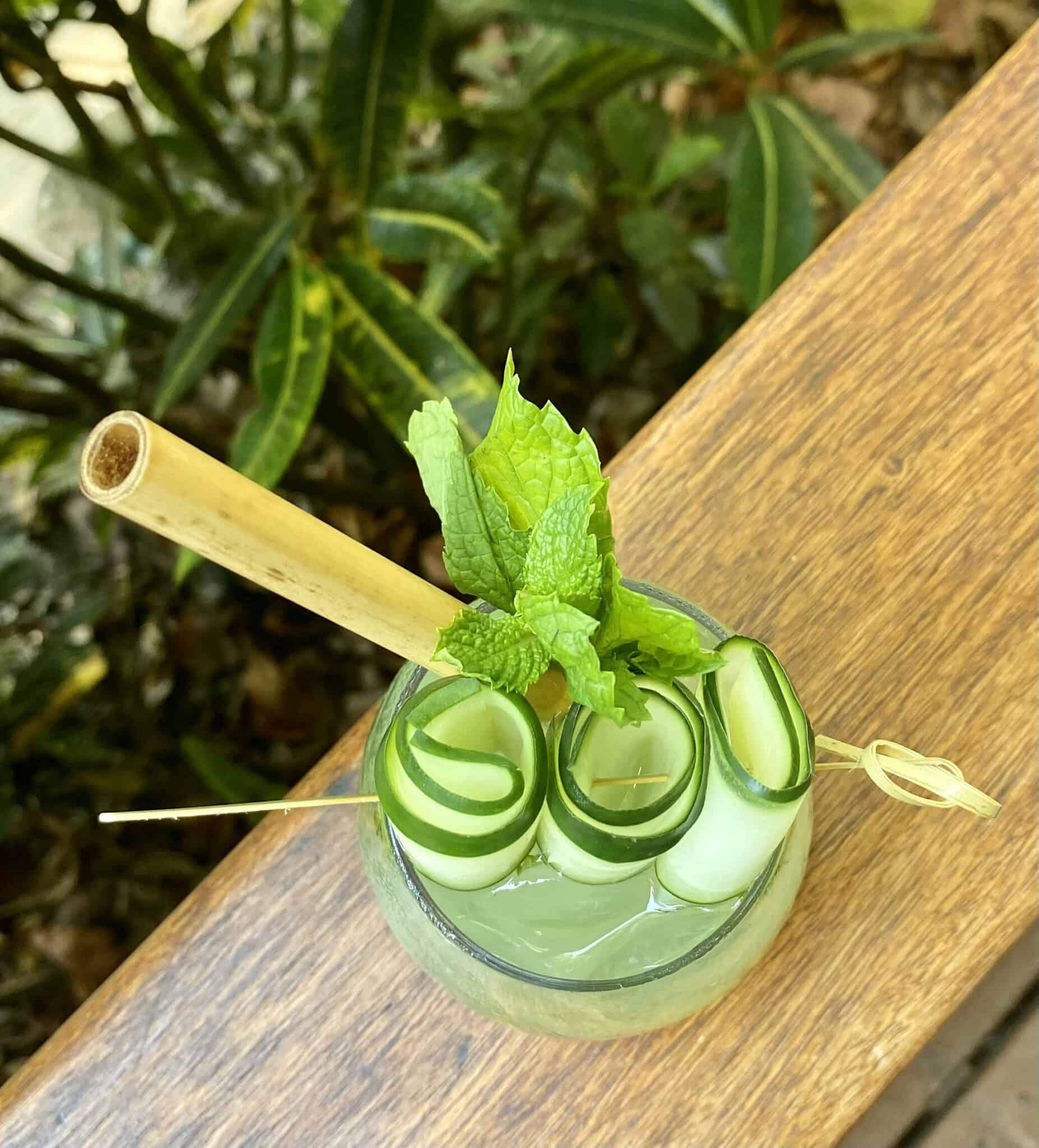 Green Island Cocktail | Hamanasi Adventure & Dive Resort, Belize