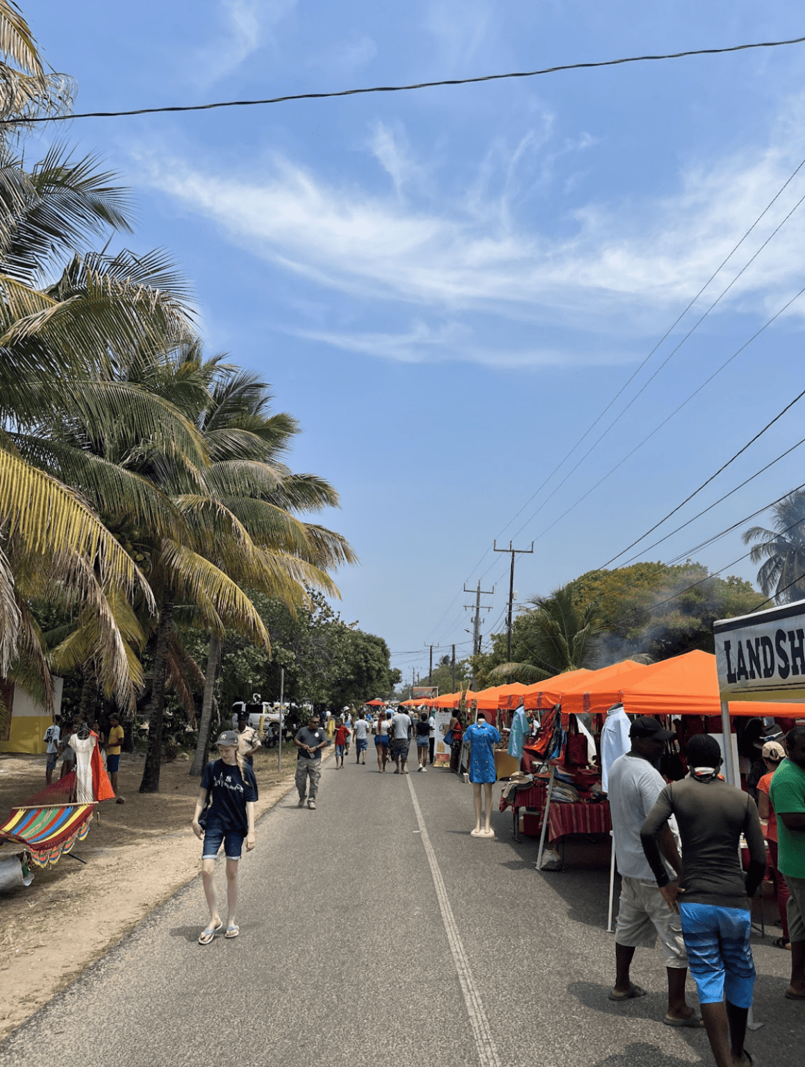 Why You CAN’T Miss Mango Season in Belize! | Hamanasi Adventure & Dive ...