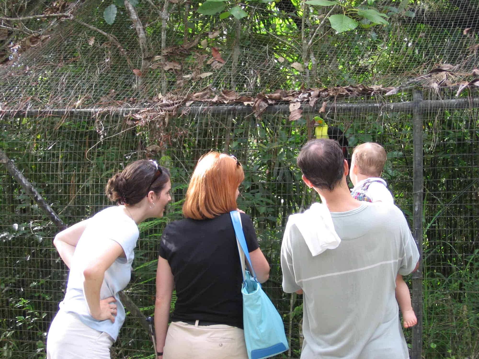 Hamanasi is the Perfect Multigenerational Destination | Hamanasi ...