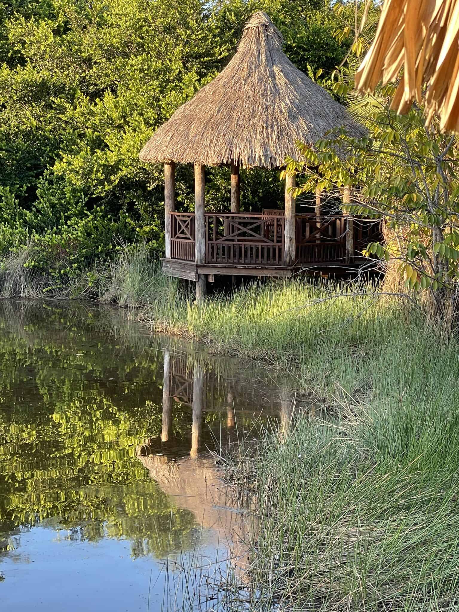 Hamanasi is the Perfect Multigenerational Destination | Hamanasi ...